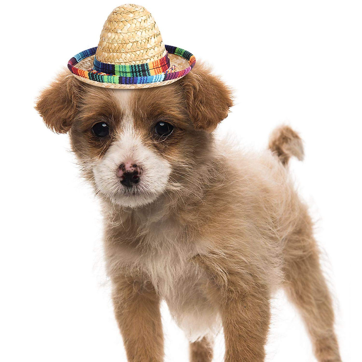 LoveBB 12 Pack Mini Sombrero Hats 5.9 Inch Small Straw Sombreros Cinco de Mayo hats for Kid Pet Doll Themed Party Decoration (Brown)