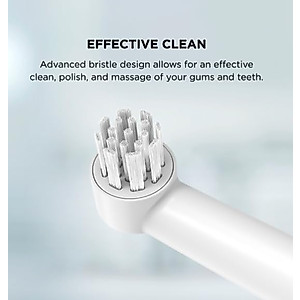 Interplak RBG3 OptiClean Replacement Power Plaque Remover Brush Head (Pack of 2)