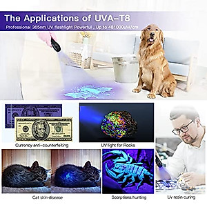 TactEagle Black Light 365nm UV Flashlight 4packs UVA-T8 Portable Blacklight Led Flashlight for Urine Detection Minerals Resin Curing Scorpion Portable Blacklight UV Led Flashlight