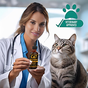 Cat Melatonin Drops 60ml Salmon Flavor, Melatonin for Cats to Sleep, Cat Calming Treats, Cat Calming Products, Cat Sleep Aid, Cat Anxiety Relief, Cat Travel Anxiety Relief for Cats
