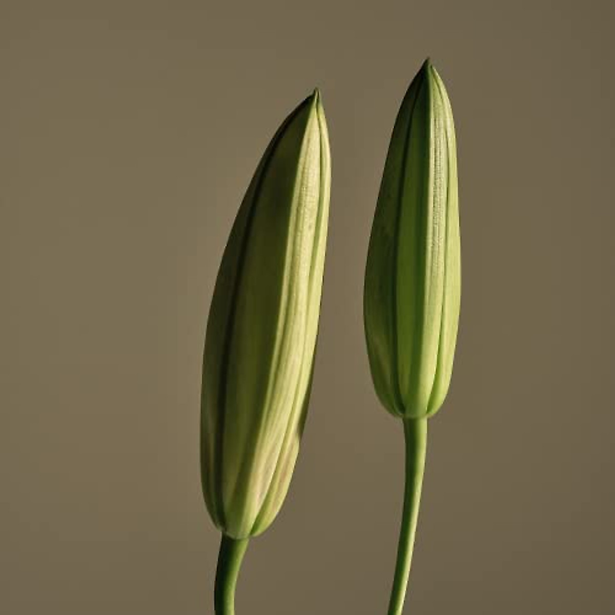 A'ddict Solid Perfume - Muguet 313, Muguet & Green Scent for Women, 1.01 fl.oz / 30ml, Alcohol-Free, Perfect for Travel