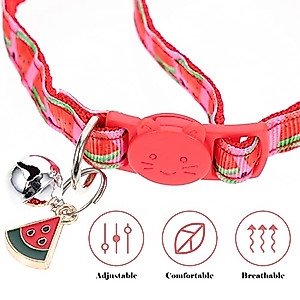 Sosoport 12pcs Fruit Style Webbing Pet Collars Dog Collars Personalized Collars Pet Supplies