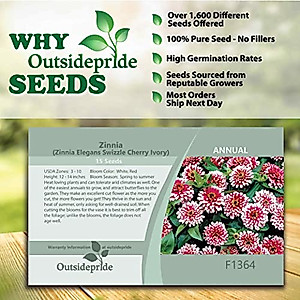 Outsidepride Zinnia Swizzle Cherry Ivory Heat & Drought Tolerant Garden Cut Flowers - 30 Seeds
