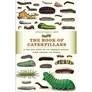 The Book of Caterpillars: A Life-Size Guide to Six Hundred Species from around the World