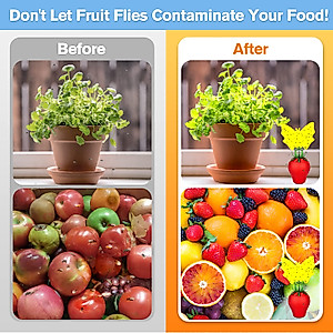 Fruit Fly Trap for Indoors,2024 Upgrade Fruit Flies Gnat Killer with Yellow Sticky Fruit Fly Traps,Safe and Non-Toxic Fruit Flies Traps,Odorless Fly Insect Trap for Home,Kitchen,Plants (Red,2 Pack)