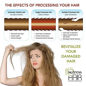 Nutress Hair One-Step Protein Treatment for Damaged Hair 16 oz.
