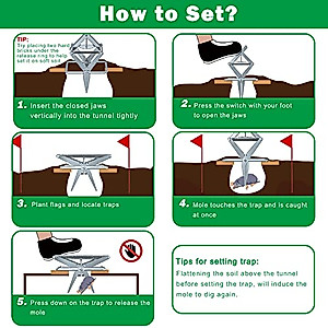 2 Pack Mole Traps That Kill Best, Scissor Mole Traps for Lawns Vole Traps Outdoor Use, Mole Trap Easy to Set Galvanized Steel Reusable Quick Capture Gopher