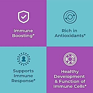 Hyland's Naturals Organic Elderberry Plus Gummies, Organic Black Elderberry with ZINC and Vitamin C, Immune Support Supplement for Adults, 60 Vegan Gummies (30 Days)