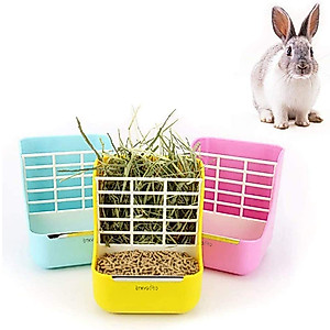 2 in 1 Food Hay Feeder for Guinea Pig, Rabbit Feeder, Indoor Hay Feeder for Guinea Pig, Rabbit, Chinchilla, Feeder Bowls Use for Grass & Food (Blue)
