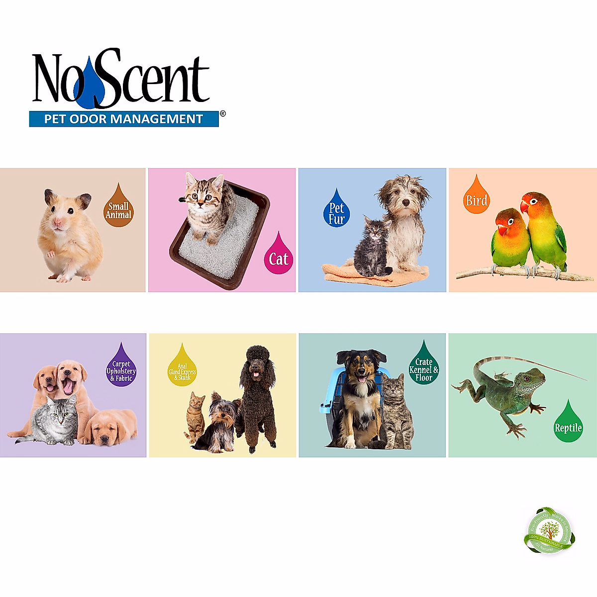 No Scent Carpet Upholstery & Fabric Furniture Spray Spot Cleaner for Wet Dog Smell, Cat Spray, Pet Odor, Urine, Poop & Secretions (32 Fl Oz / 946 mL)