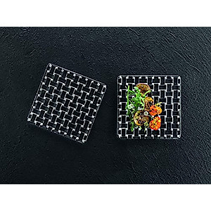Nachtmann Bossa Nova CollectionGlass Platter, 5.5-Inch, Made of Clear Crystal, Serving Platter for Cake, Dessert, Woven Glass Design, Square, Set of 2