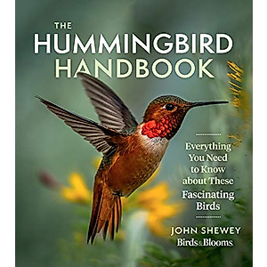 The Hummingbird Handbook: Everything You Need to Know about These Fascinating Birds