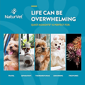 NaturVet Quiet Moments Calming Aid Melatonin Dog Supplement – Helps Reduce Stress in Dogs – for Pet Storm Anxiety, Fireworks, Motion Sickness, Grooming, Separation, Travel – 240 Ct. Chews