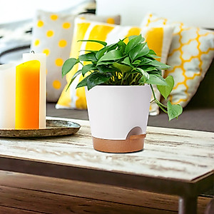 Whonline 6 Pack Self Watering Pots for Indoor Plants 8/7/6.5/6/5.5/5 Inch Plastic Pots with Drainage Hole, Planters White Flower Pots for Outdoor Plants, Flowers, Succulents