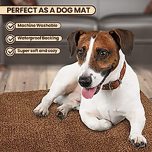 RugMast Indoor Door Mat for Entryway, 20" x 30" Washable, Non Slip Super Absorbent Microfiber Rugs for Entryway, Low Profile