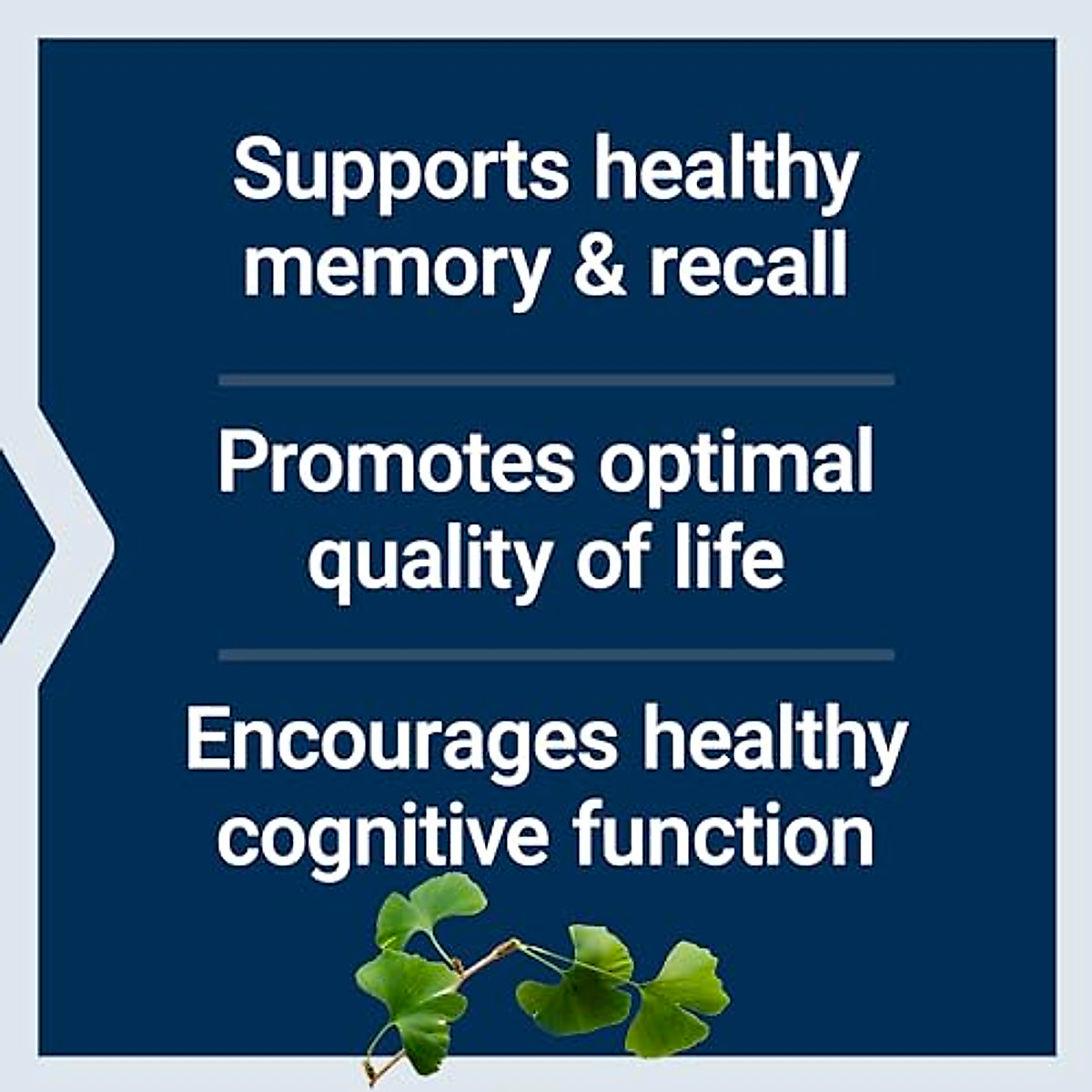 Life Extension Ginkgo Biloba Certified Extract™, 120 mg, helps maintain memory & cognition, gluten-free, non-GMO, vegetarian, 365 capsules