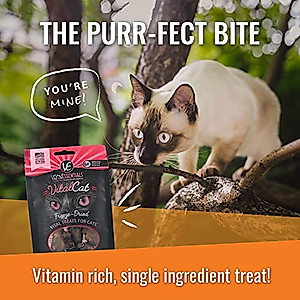 Vital Essentials Freeze Dried Cat Treats, Minnows 0.5 oz