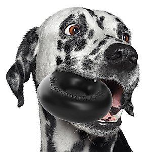 Goughnuts — Dog Toys for Aggressive Chewers | Virtually Indestructible Dog Toys for Medium Breeds Such as Pit Bulls | Heavy Duty Dog Toy | Black