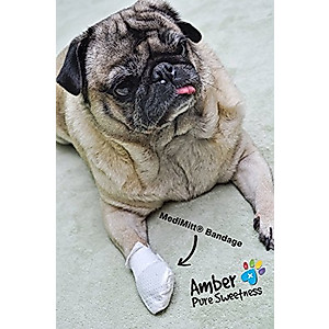 Pawflex Bandages Medimitt Bandages for Pets (Pack of 4) Medium
