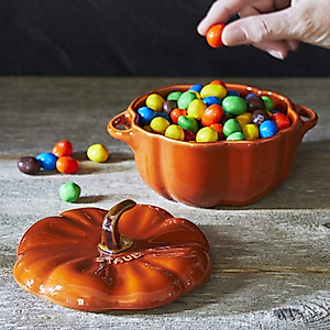 STAUB 0.5-qt Petite Ceramic, Oven & Stove Safe up to 572°F, Pumpkin Dish, Baking , Candy Dish, Burnt Orange