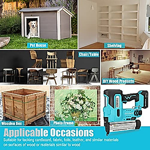 DURATECH 20V Cordless Brad Nailer, 18 Gauge, 2-in-1 Nail/Staple Gun for Upholstery, Carpentry, Including 2.0Ah Rechargeable Battery, 1H Quick Charger, 1000 Staples, 1000 Nails and Carrying Case