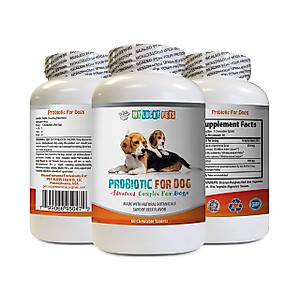 MY LUCKY PETS LLC Dog probiotic Powder - Dog PROBIOTICS - Bad Breath and Passing Gas Solution - Oral Health - lactobacillus acidophilus Dogs - 1 Bottle (60 Treats)