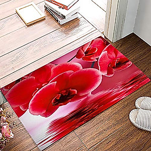Indoor Doormat Front Door Mat, 18"x30" Non Slip Backing Washable Absorbent Floor Rug for Entrance,Porch,Kitchen, Red Phalaenopsis Flower on Water