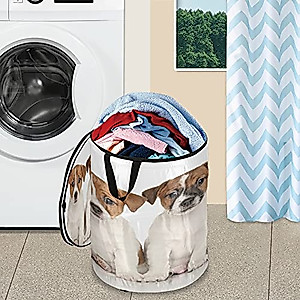 xigua Jack Russell Terrier Puppies Pop Up Laundry Hamper Bucket Cylindric, Foldable Clothes Bag, Folding Washing Bin,Large Capacity Zipper Lid Laundry Storage Basket