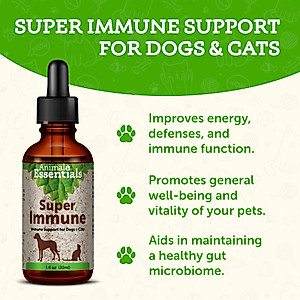 Animal Essentials Super Immune for Dogs & Cats - Immune System Support Supplement, Echinacea, Eleuthero, Olive Leaf Extract, Liquid Drops - 1 Fl Oz