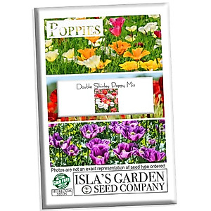 ":Double Shirley Mix" Poppy Seeds for Planting, 3000+ Flower Seeds Per Packet, (Isla's Garden Seeds), Non GMO & Heirloom Seeds, Botanical Name: Papaver rhoeas, Great Poppies for a Gift