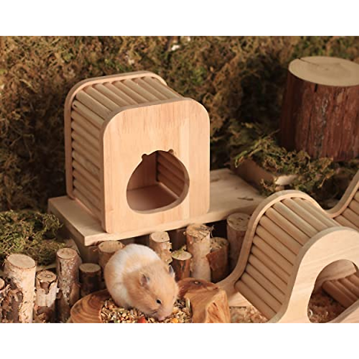 MPMLMF Hamster Sleeping House Hideout& Hamster Wood, Hamster Toys with Climbing Ladder, Hamster Accessories for Hamsters Gerbils Hedgehog or Similar-Sized Pets (Rectangle—Shaped)