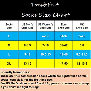 Toes&Feet Men's 5-Pack Black Anti Odor Quick Dry Thin Ankle Running Socks, L