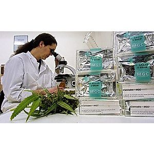 What If Cannabis Cured Cancer