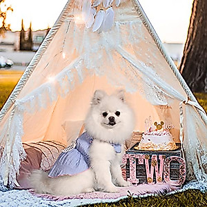 TONY HOBY Dog Dress, Dog Summer Dress, Dog Princess Dress Pleated with Bow-Knot, Soft Dog Tutu Outdoor Dress for Small Medium Dog (Blue, XS)