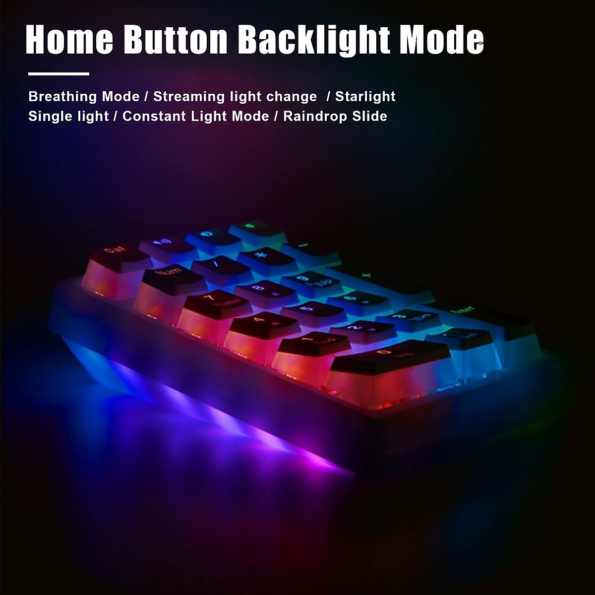 BOYI TD21 HotSwap Mechanical Numeric Keypads,21 Keys Mini Numpad Portable Keypad BT5.0/2.4G/Wired Keyboard RGB Number Pad Wireless Numeric Keypad(Blue Color with OEM Profile Pudding Keycaps)