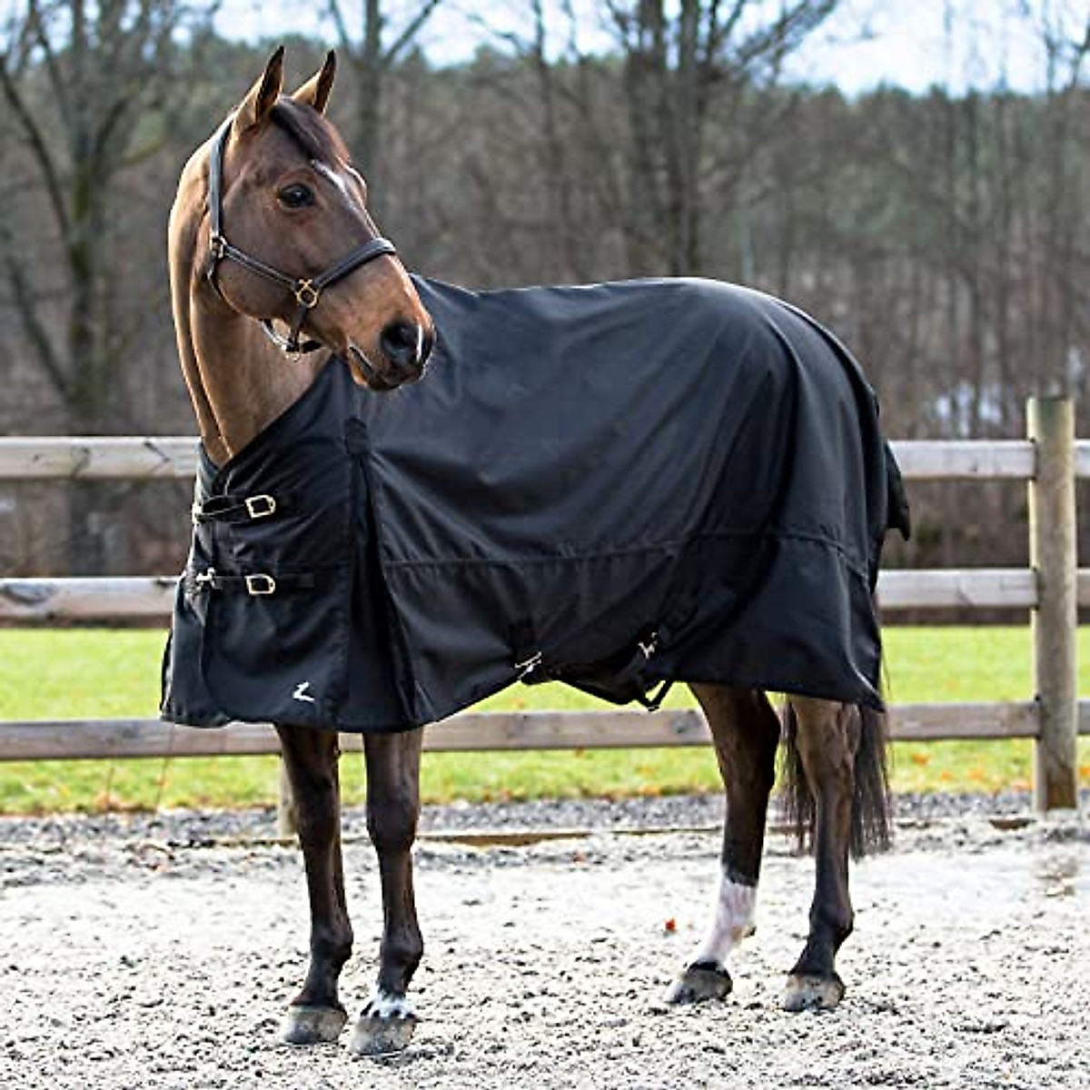 Horze Nevada 1200D Lightweight Waterproof Horse Turnout Rain Sheet (No Fill) - Black - 75 in