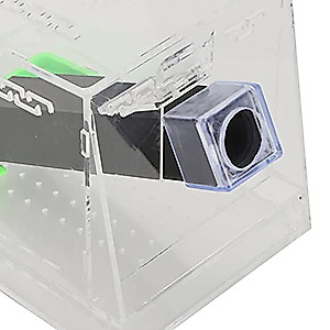 Luroze Cricket Care Kit, Easy to Cricket Keeper Tank Box High Transparency Acrylic Material for Home for Office(S)