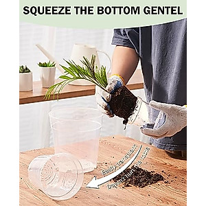 homenote Clear Nursery Pots for Plants,4 Inch Seedling Pots with Drainage Holes Plant Pot for Planting Flower Indoor Seed Starter Pots Outdoor High Transparency with Bonus 20 Plant Labels (30 Packs)