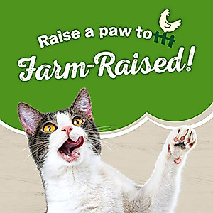 Purina Friskies Dry Cat Food, Farm Favorites With Chicken - 22 lb. Bag