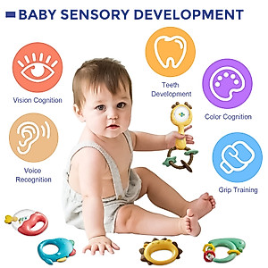 Baby Toys Baby Rattles 13 pcs, Baby Teething Toys, Teething Toys for Babies, Infant Shaker, Teether, Grab and Spin Rattles, Newborn Toys for 0, 3, 6, 9, 12 Months Baby Girls Boys
