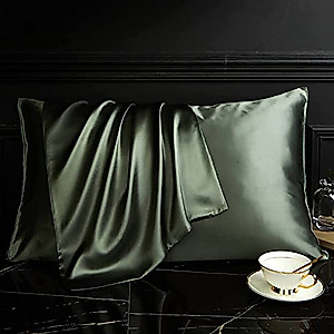 DISANGNI 100% Mulberry Silk Silk Pillowcase, Used for Hair and Skin, Envelope Type, Silk on one Side and Tencel on The Other Side, Count 600, 1pc (Green, Queen(50x75cm))