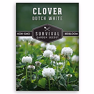 Survival Garden Seeds - Dutch White Clover Seed for Planting - Packet with Instructions to Plant and Grow White Clover as Ground Cover, Erosion Control or Cover Crop - Non-GMO Heirloom Variety