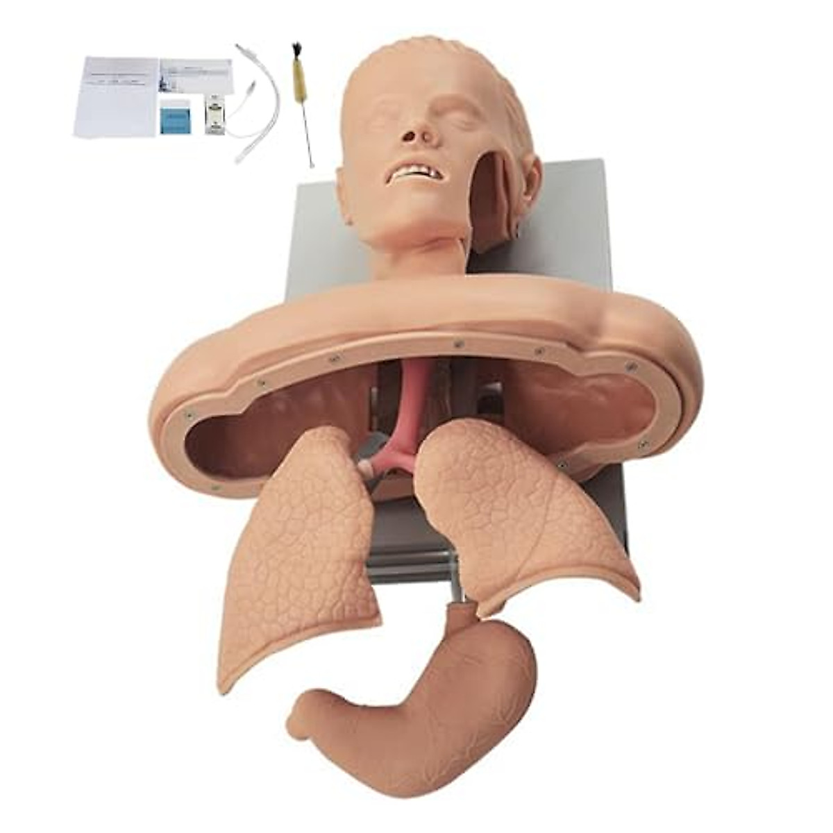 Oral Nasal Intubation Manikin, Advanced Human Tracheal Intubation Training Model Airway Management Practice Mold Teaching Instrument Demonstration Anatomical Structure