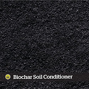 Wakefield BioChar – Premium Soil Conditioner (Activated Charcoal for Plants, Horticultural Charcoal) – 100% Organic Bio Char for Raised Bed and Vegetable Gardens, Potting Mix and Lawns - 1 Pound