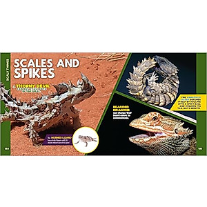 The Fascinating Animal Book for Kids: 500 Wild Facts! (Fascinating Facts)