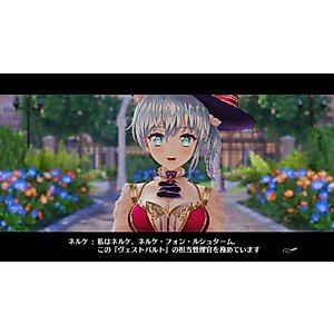 リディー&スールのアトリエ ~不思議な絵画の錬金術士~ DX
