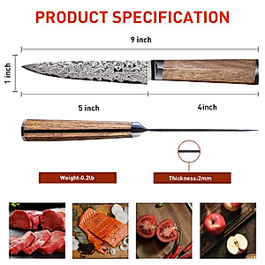 FUJUNI Kitchen Utility Knife 5 inch Damascus Small Chef Knife 67-Layer Damascus VG10 Steel Ultra Sharp Professional Paring Knife with Hexagon Natural Wood Handle