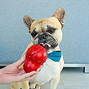 Nylabone Chew & Treat Toy for Dogs - Interactive Dog Enrichment Chew & Treat Toys