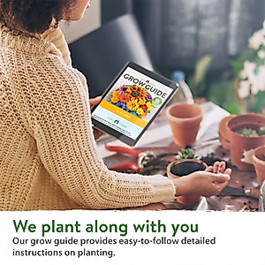 HOME GROWN 20 Flower Seeds Variety Pack - Individual Flowers Seeds for Planting | Flower Seeds Packs for Planting Outside & Indoors