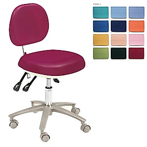 HS-6 PU Leather Adjustable Mobile Doctor's Chair Deluxe Dentist Stool with Backrest Five Star Casters